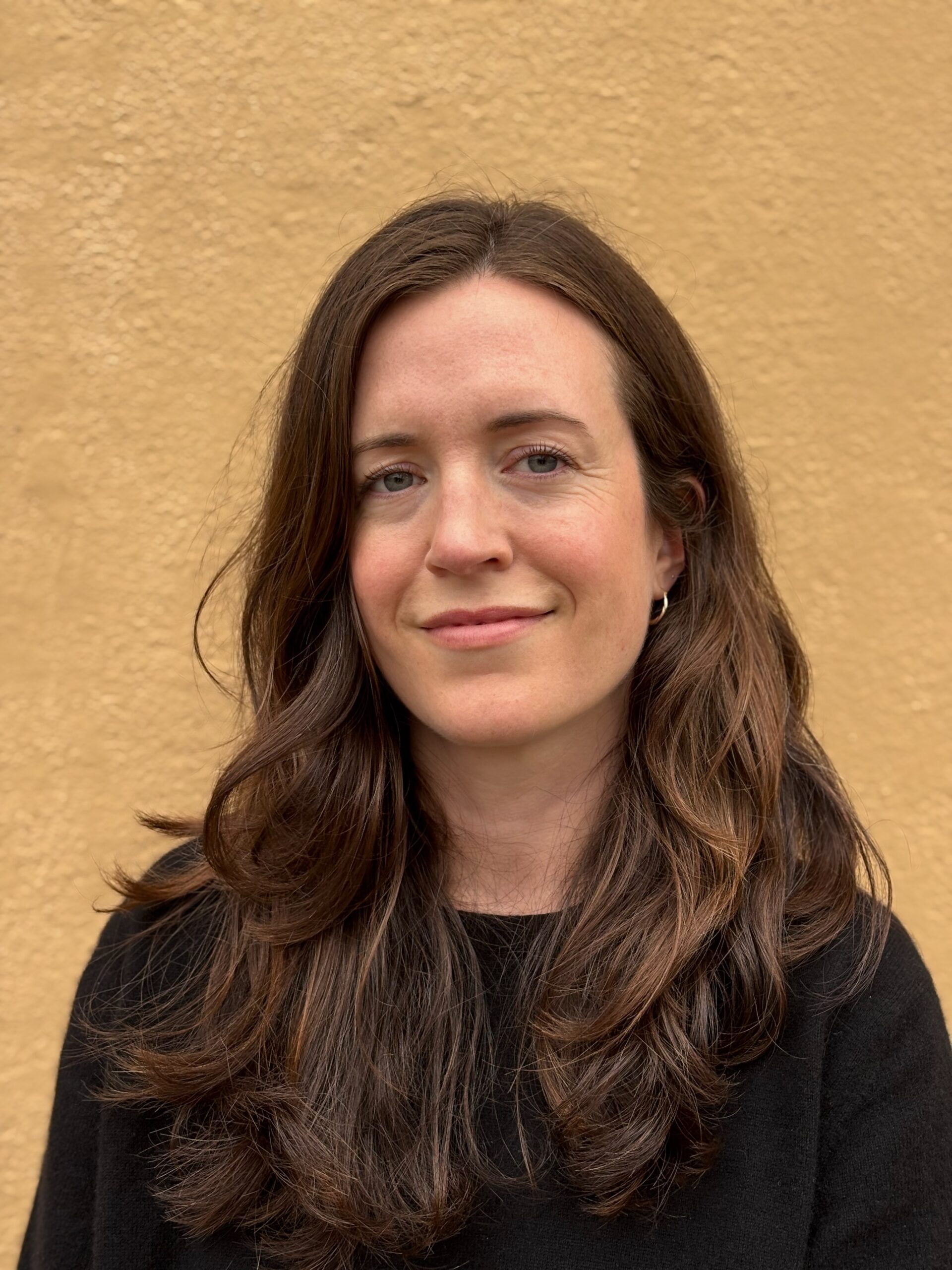 The Missouri Review“The Amateurs” by Liz DeWolf | The Missouri Review